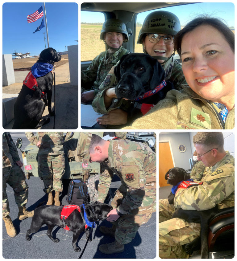Alumna, Military Chaplain 1st with Therapy Dog | Gardner-Webb University