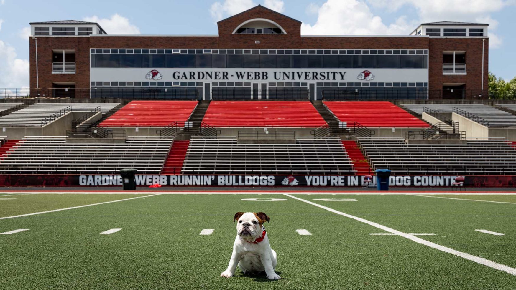 Bo the Bulldog | Live Mascot Program | Gardner-Webb University
