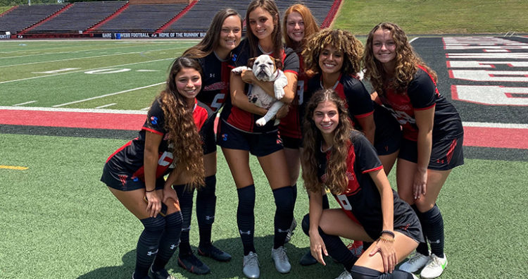 Bo the Bulldog | Live Mascot Program | Gardner-Webb University
