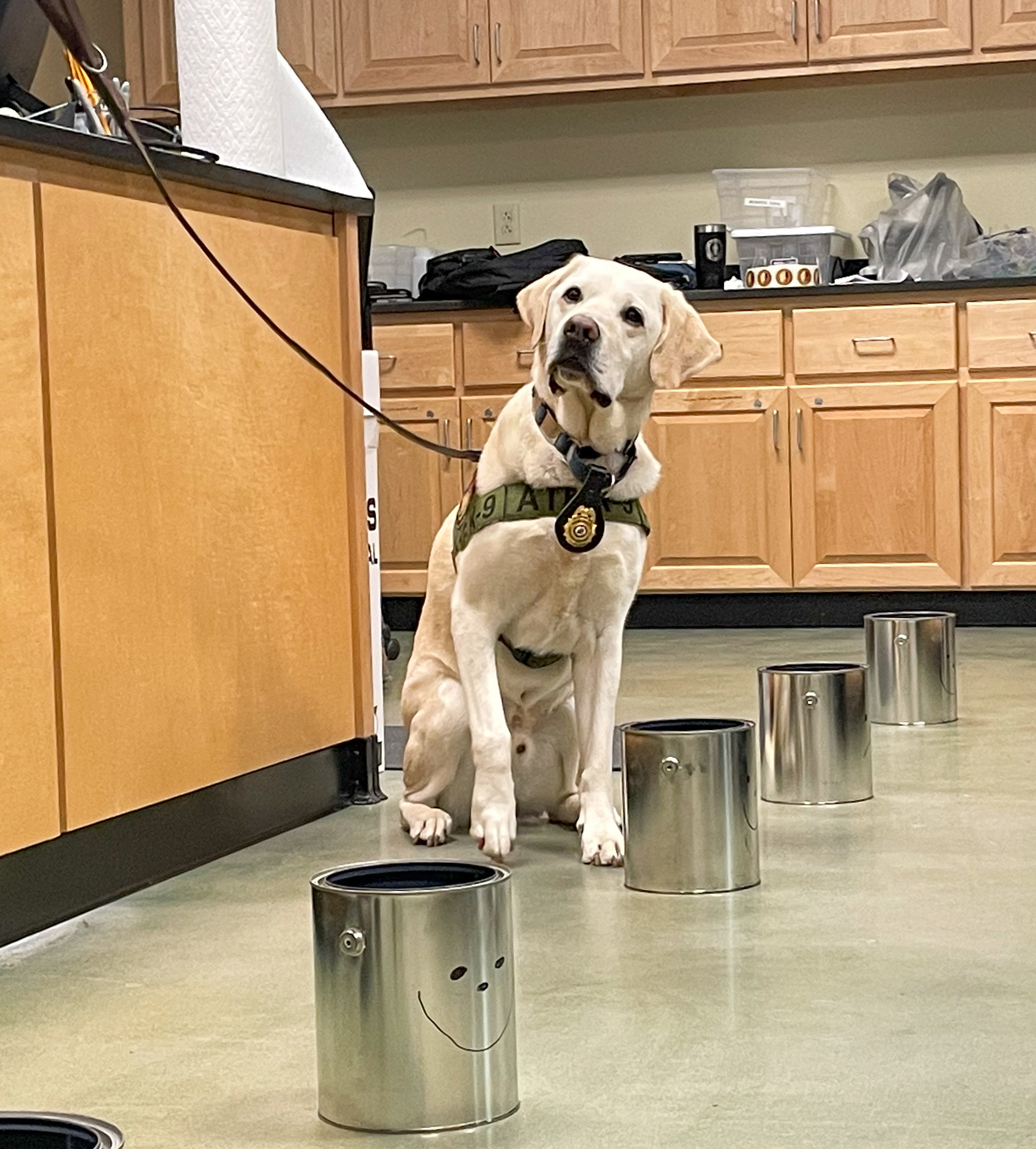 ATF Canine and Partners Visit GWU Science Classes | Gardner-Webb University