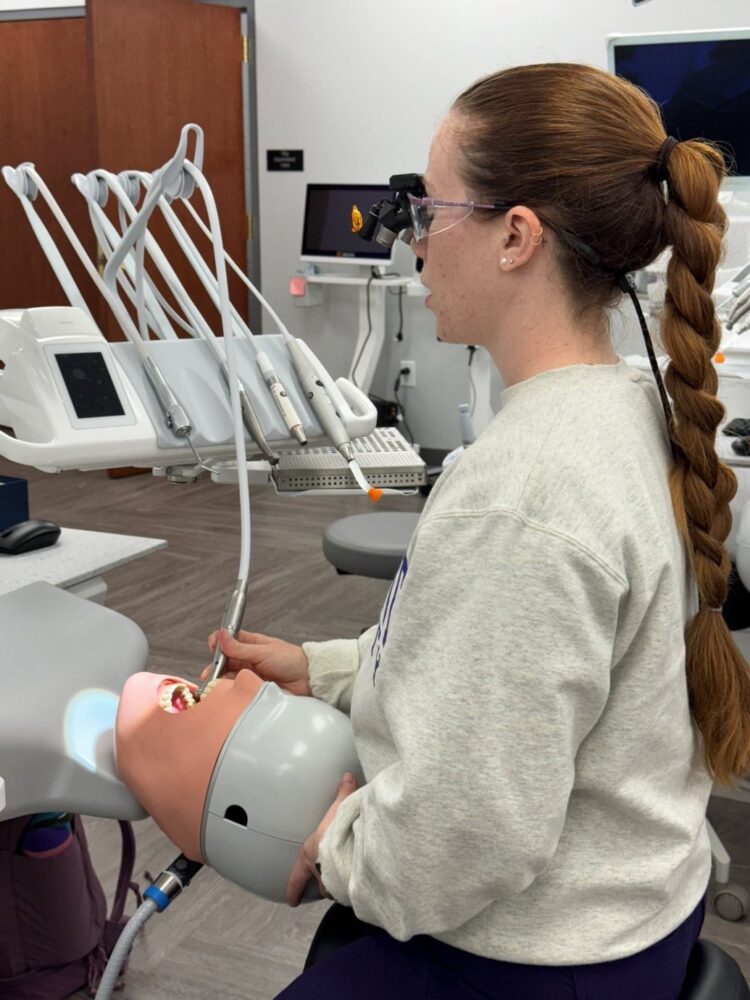 Alumna Shares Her Journey to Dental School | Gardner-Webb University
